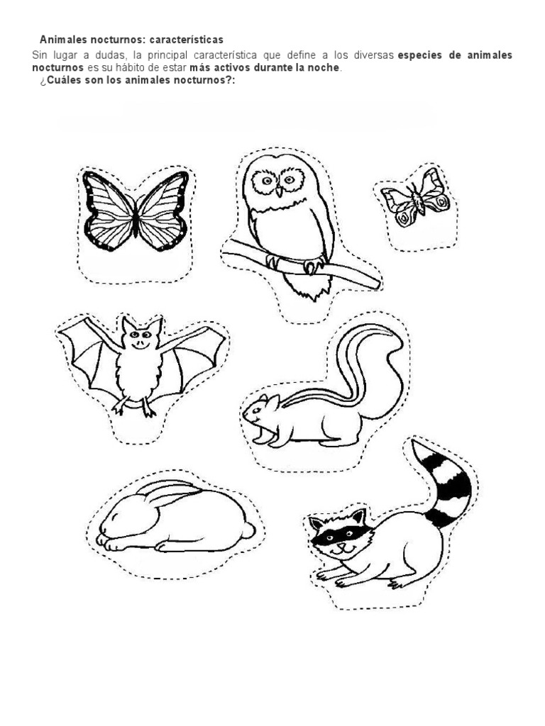 Animales Nocturnos y Diurnos | PDF