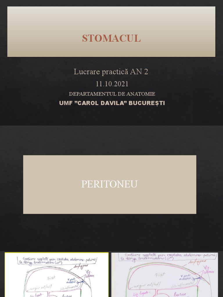 Prezentare Stomac | PDF