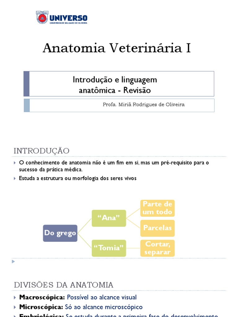 Anatomia Veterinária I - REVISÃO | PDF | Anatomia | Corpo humano