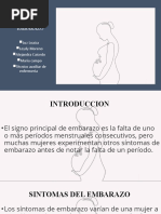 PDF Mujer Embarazada Pae | PDF