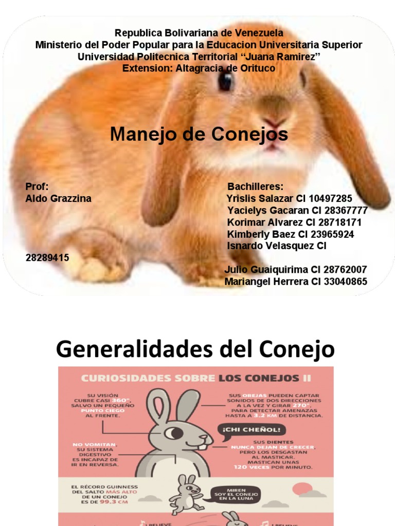 Guía de Manejo de Conejos | PDF
