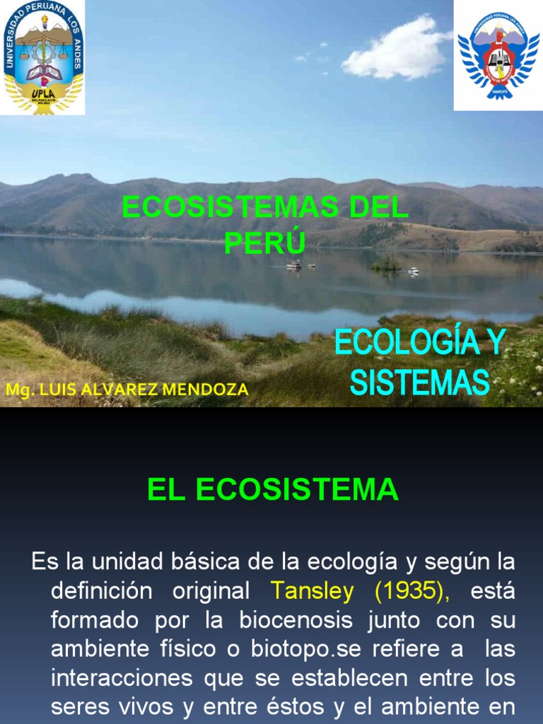 Ecosistemas del Perú: Diversidad y Tipos | PDF | Suelo | Los bosques