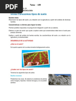 Suelos Humíferos - Características, Tipos y Animales - Lifeder PDF ...