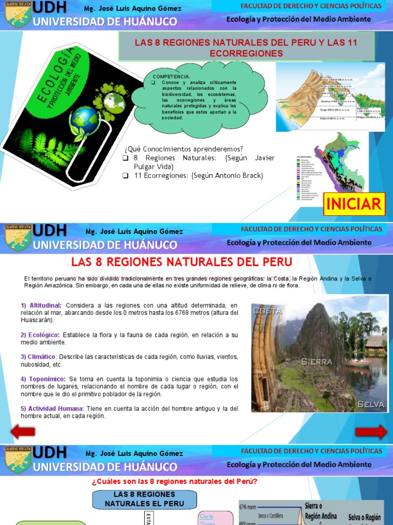 Las 8 Regiones Naturales Del Peru y Las 11 Ecoregiones | PDF ...