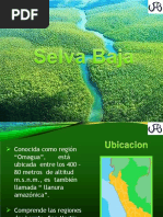 Relieve de La Selva Peruana | PDF | Perú | Andes