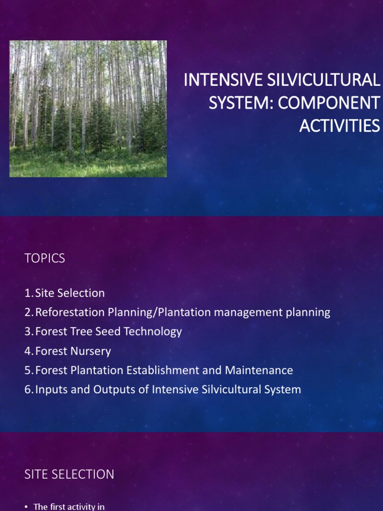 Intensive Silvicultural System Guide | PDF | Soil | Earth Sciences