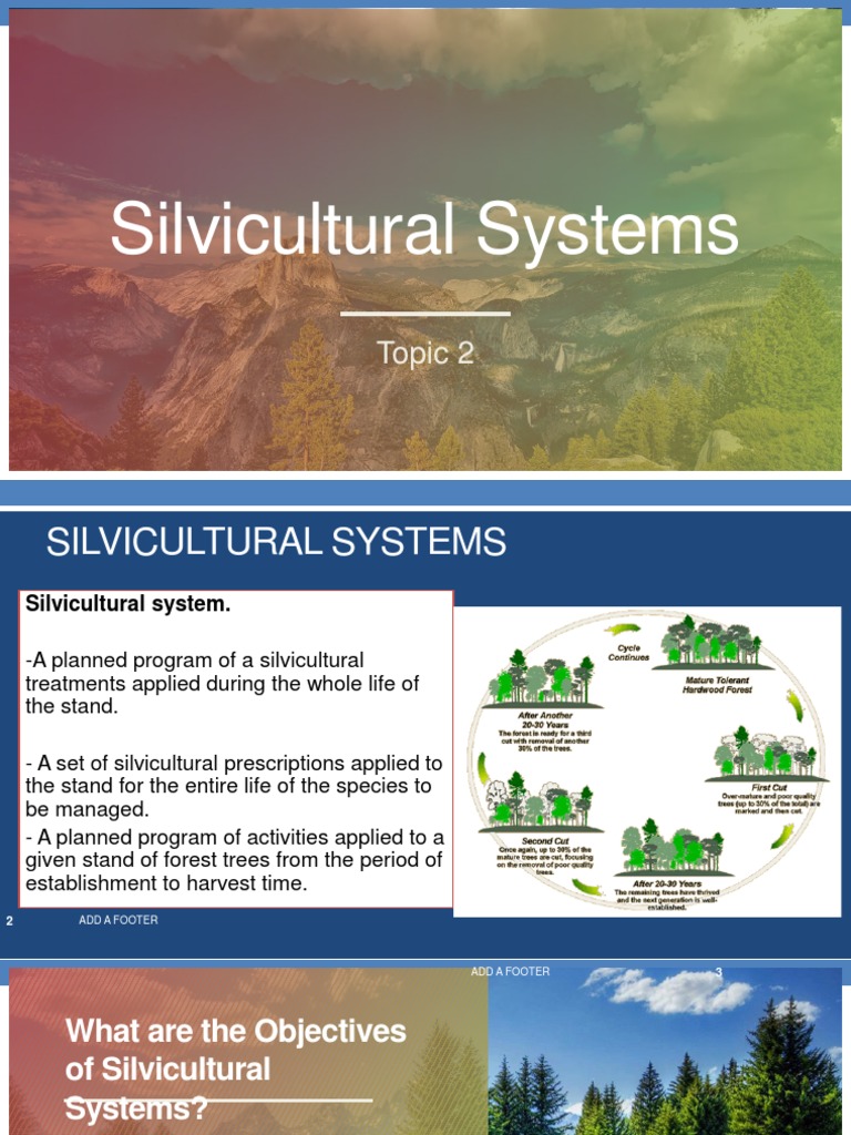 Topic 2 - Forest Regenertion (Silvicultural Systems) | PDF | Pruning | Weed