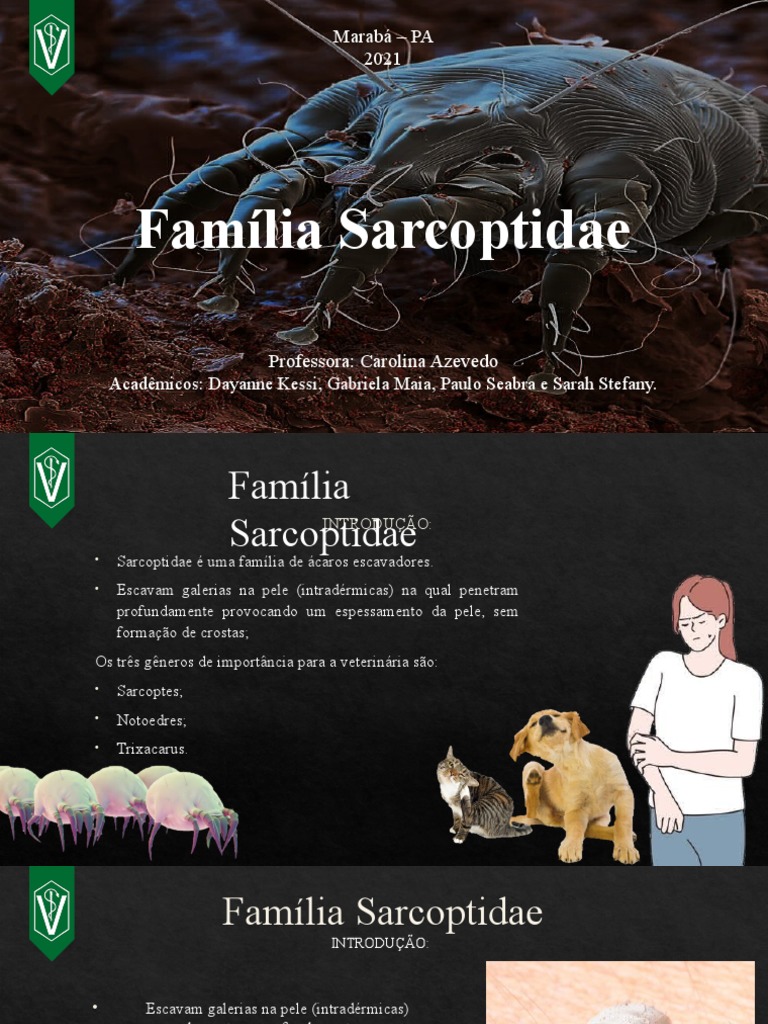 Sarcoptidae: Ácaros Escavadores e Veterinária | PDF