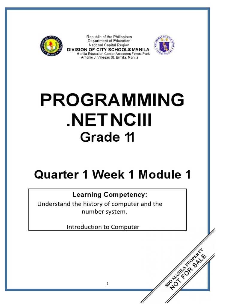 Programming: Grade 11 | PDF | Programming Language | Computer Programming