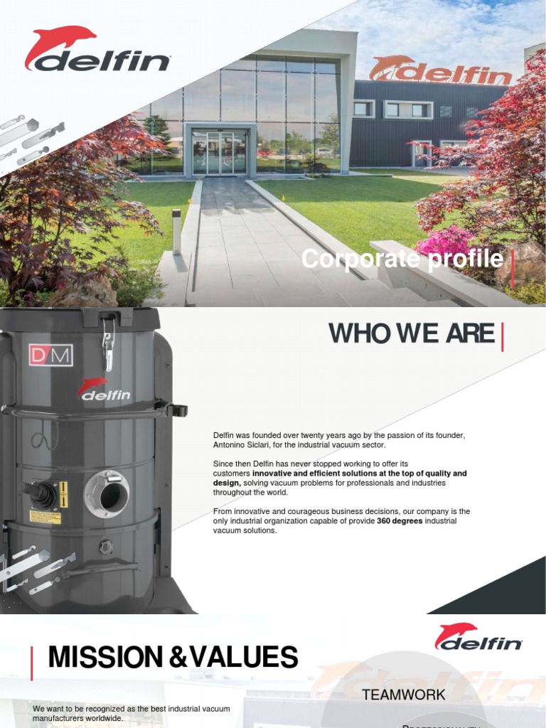 Delfin Corporate Presentation Extended 2.0 ENG 2018 | PDF | Vacuum ...