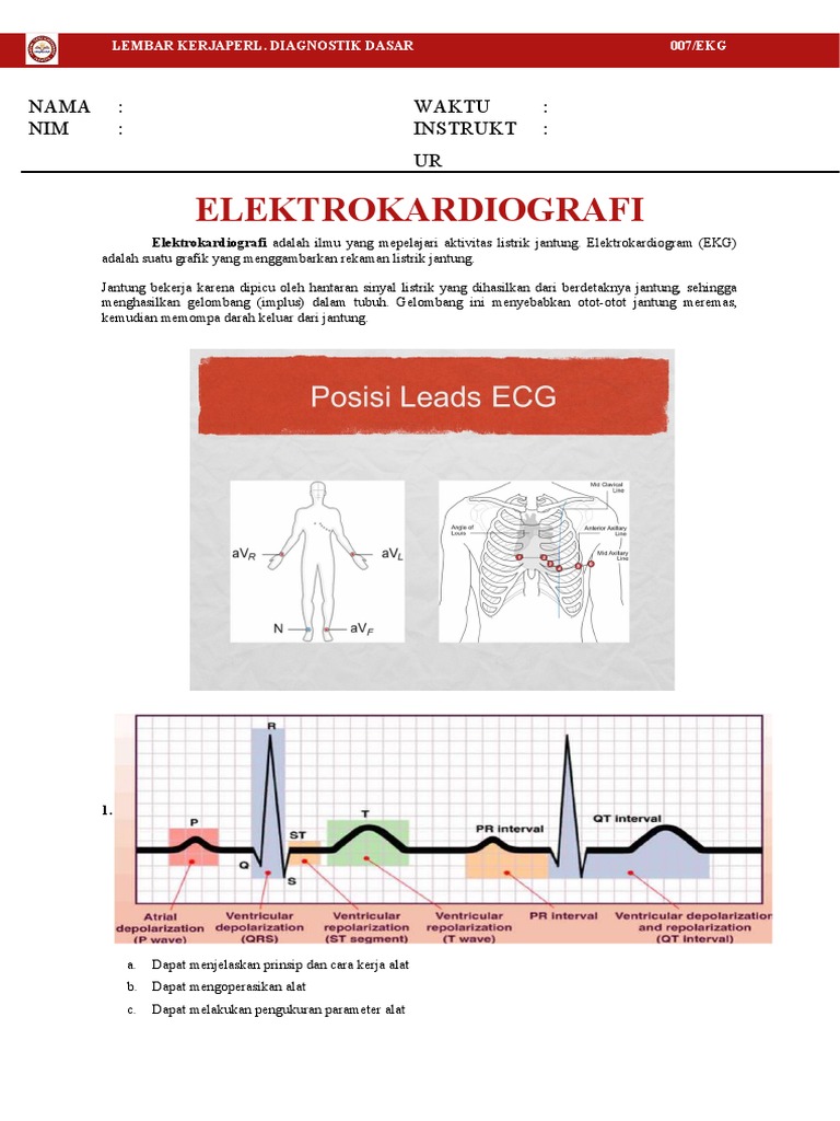 Memahami Elektrokardiogram (EKG) Melalui Lembar Kerja Praktikum | PDF