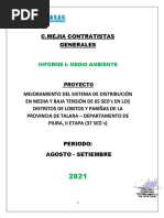 PLAN DE MANEJO DE AREAS AUXILIARES - PUENTE LIRCAY - Rev 01 | PDF | Residuos | Materiales
