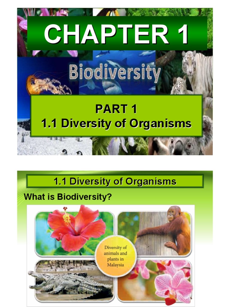 Chapter 1 Biodiversity Part 1 | PDF | Biodiversity | Habitat