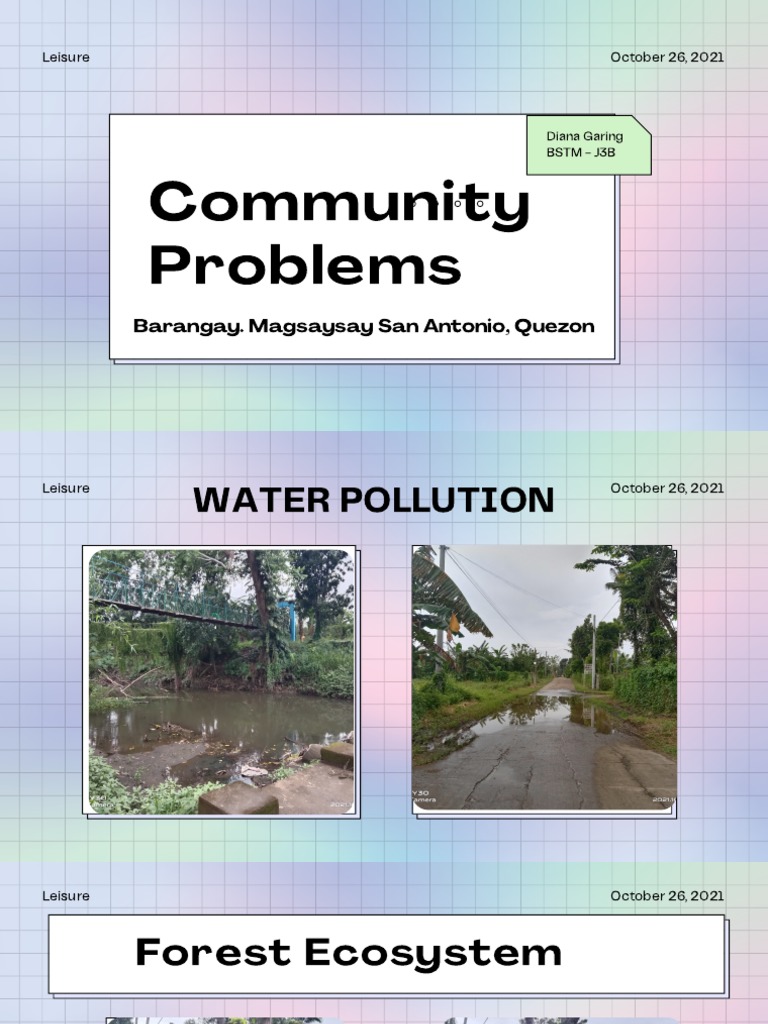 Community Problems: Barangay. Magsaysay San Antonio, Quezon | PDF