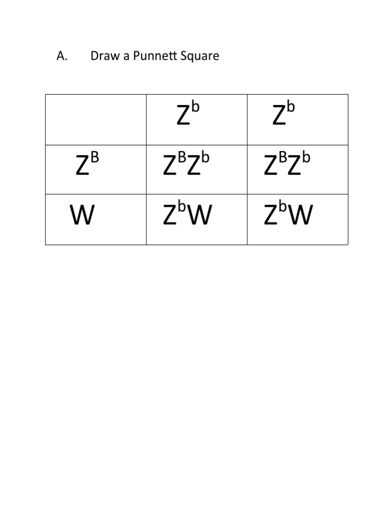 Draw A Punnett Square | PDF
