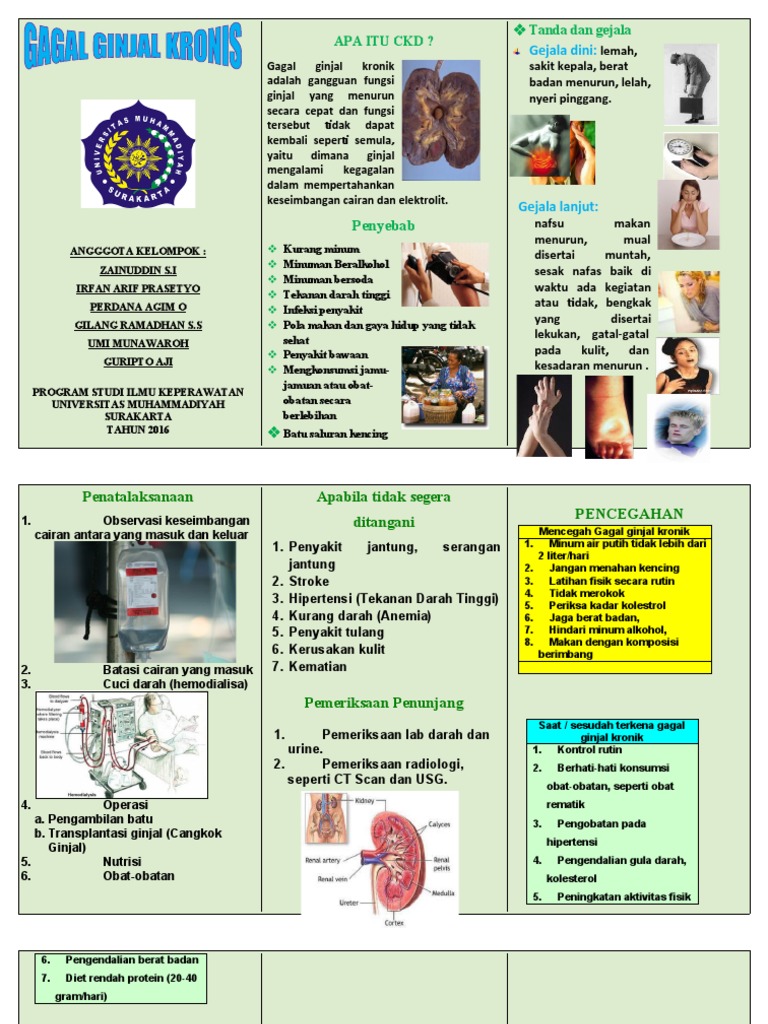 Leaflet CKD Fixxxxx | PDF