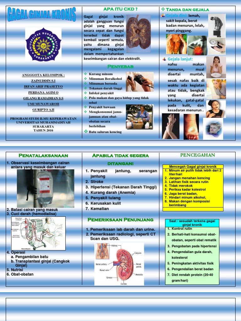 Leaflet CKD fixxxxxBIRU | PDF