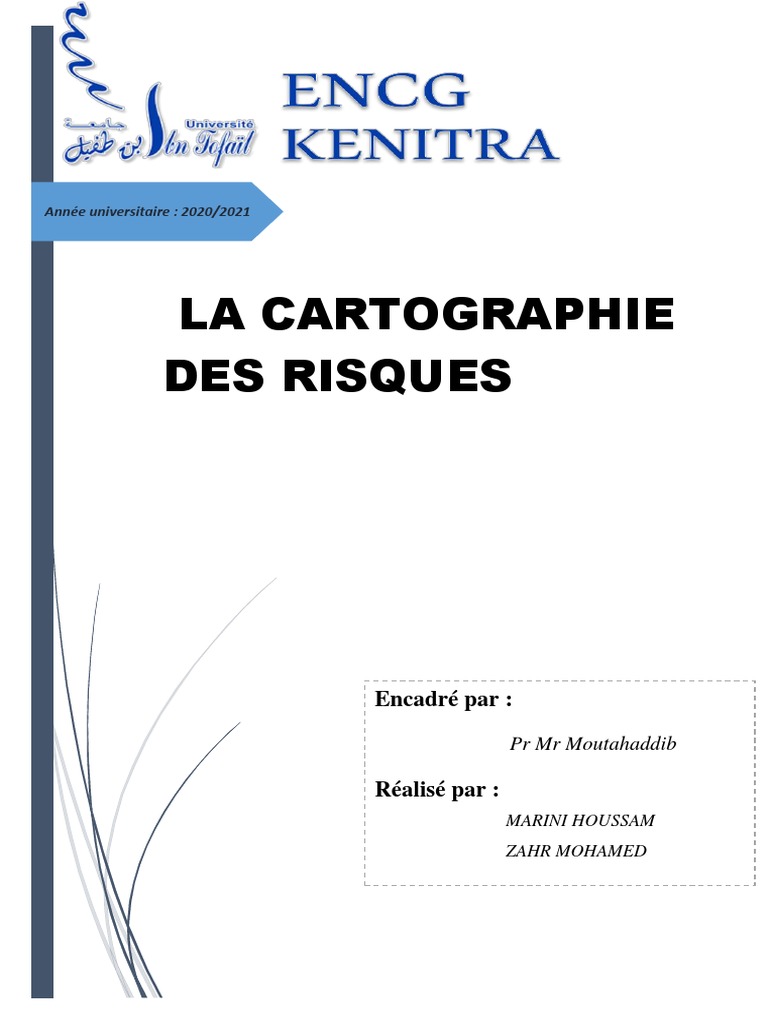 La Cartographie Des Risques | PDF | Risque | Contrôle interne