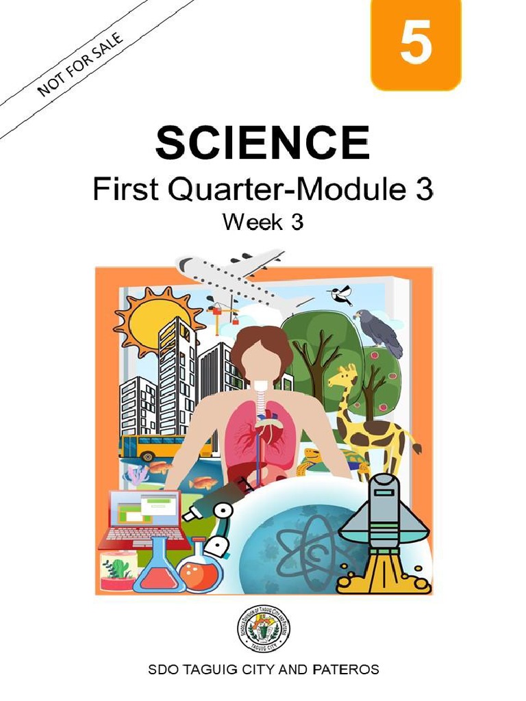 First Quarter-Module 3: Science | PDF | Learning | Water