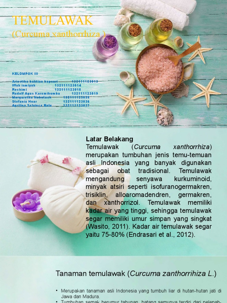 Temulawak | PDF