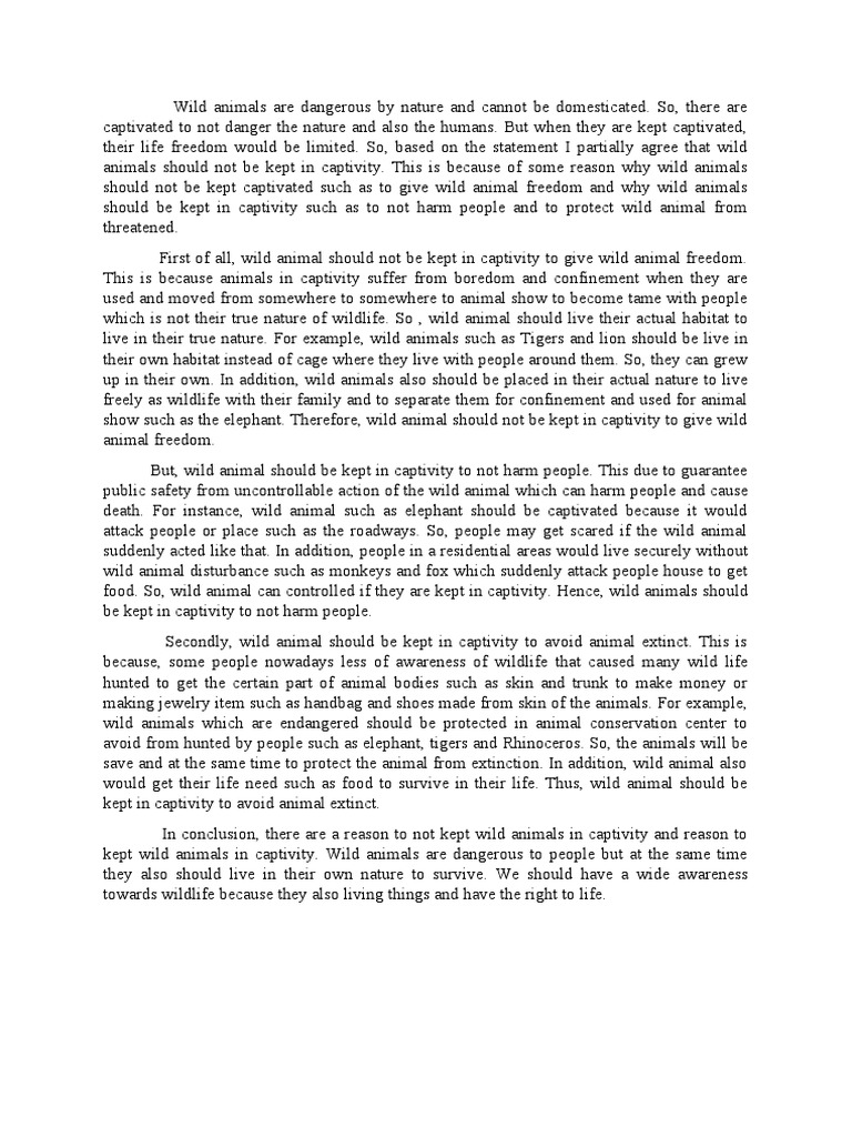 Wild Animal | Download Free PDF | Wildlife | Elephant