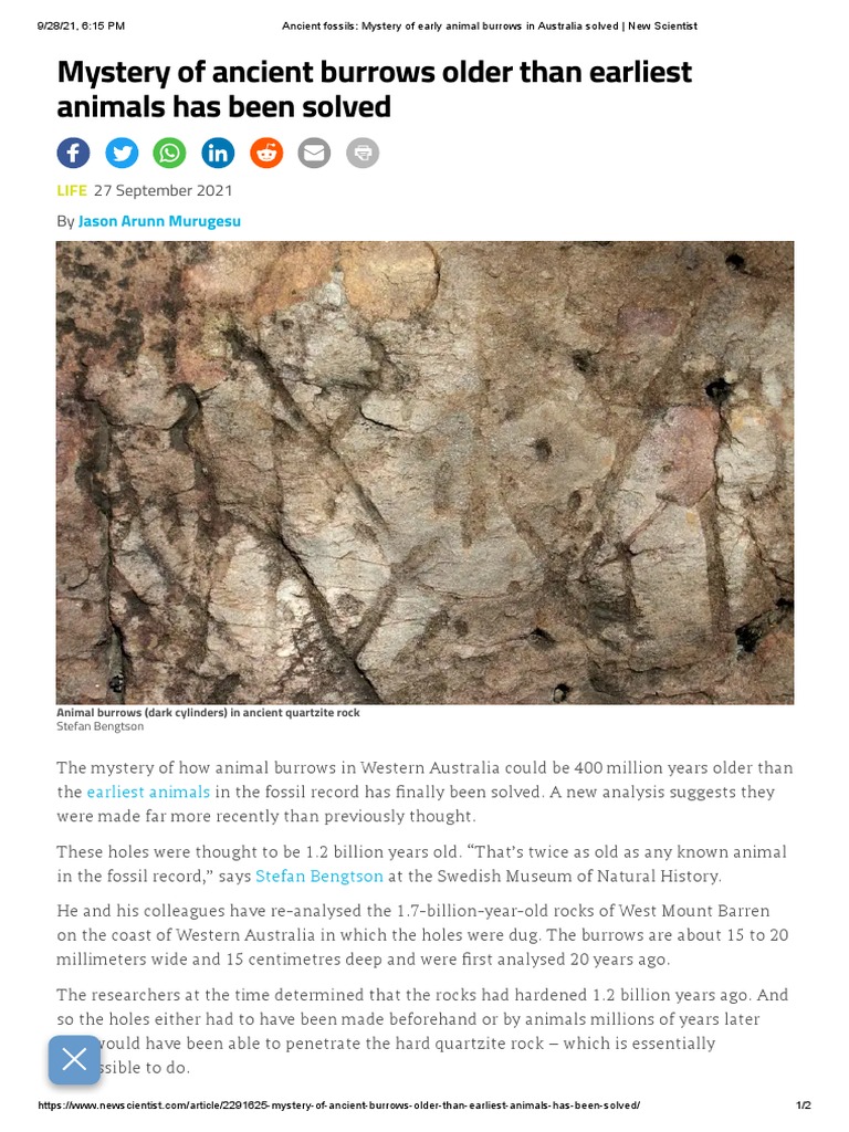 Ancient Fossils - Mystery of Early Animal Burrows in Australia Solved ...