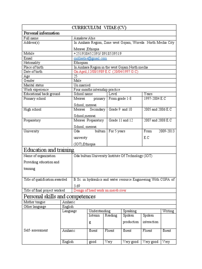 Education and Training: Curriculum Vitae (CV) Personal Information | PDF | Ethiopia