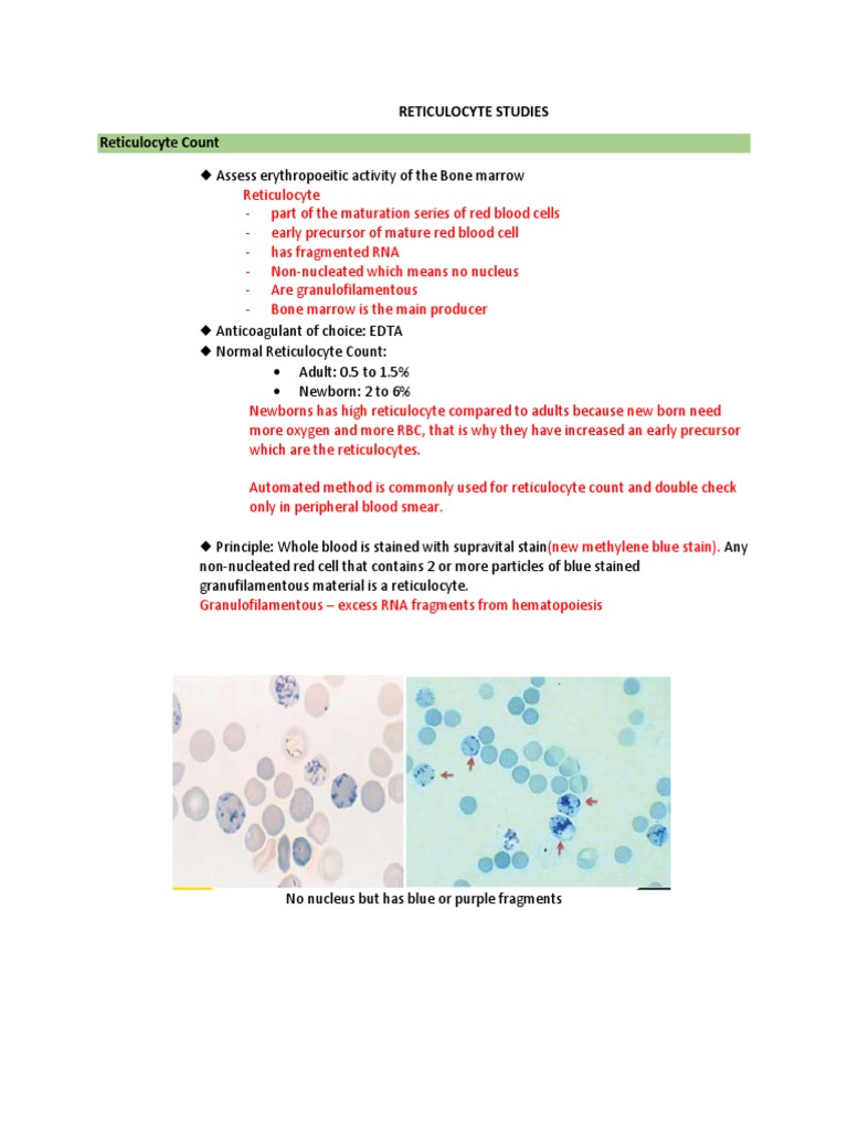 HEMA LAB Reticulocyte Study ESR OFT RBC Count | PDF | Anemia | Red ...