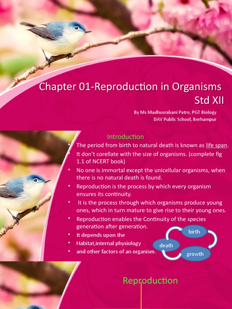 Chapter 01-Reproduction in Organisms STD Xii | PDF | Fertilisation | Sperm