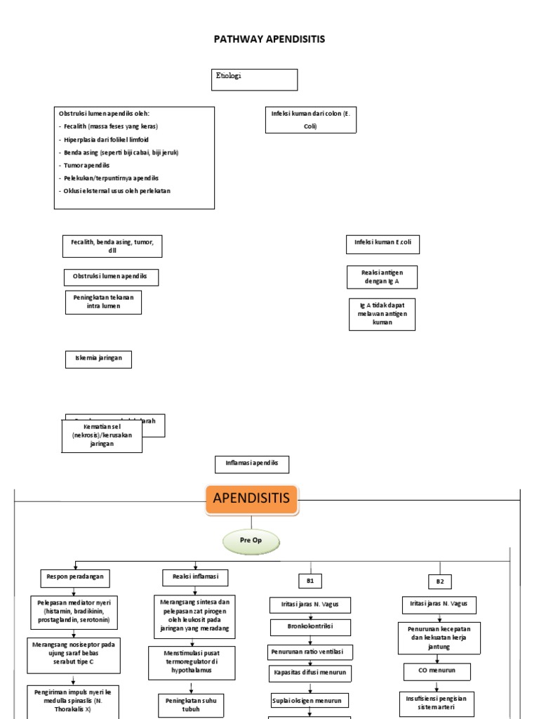 Pathway Appendicitis | PDF