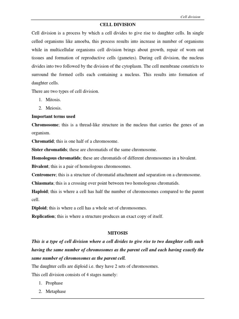 Biology Mitosis Notes (O Level) | PDF | Meiosis | Mitosis