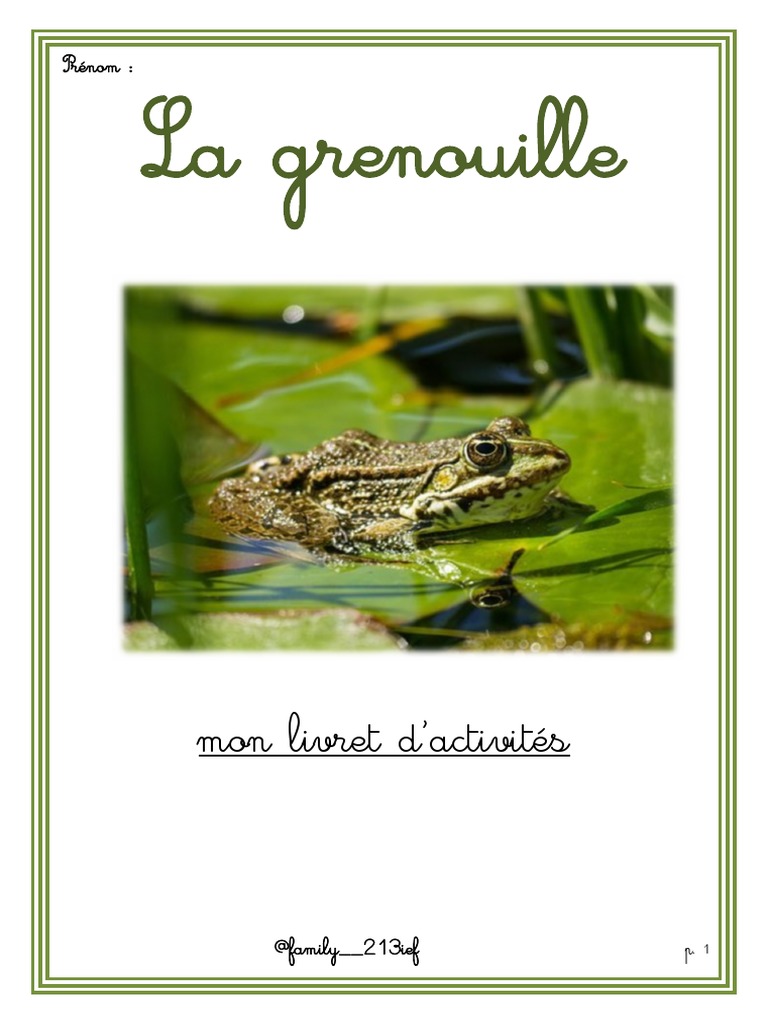 Activités sur la grenouille en maternelle | PDF