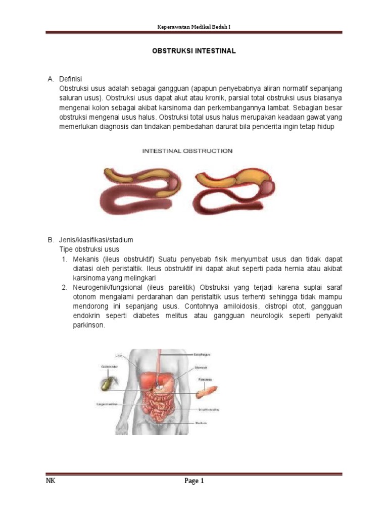 Obstruksi Intestinal | PDF | Sains & Matematika