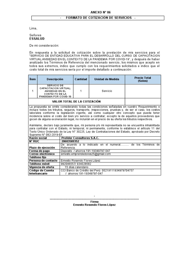 Anexo 06 Formato de Cotizacion de Servicios | PDF