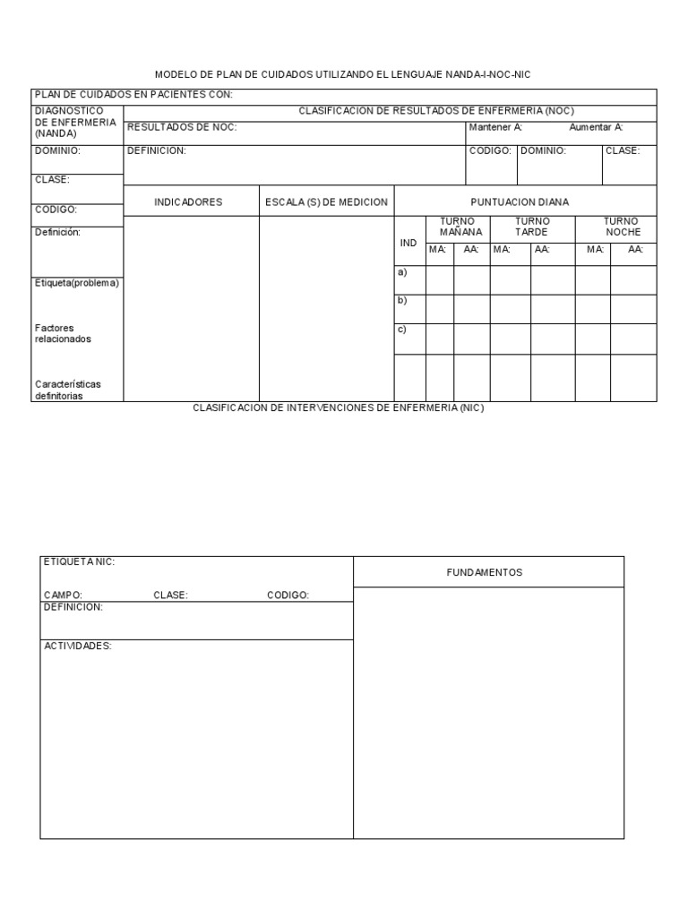 Formulario 2021 Plan de Cuidados Nanda, NOC, NIC. | PDF