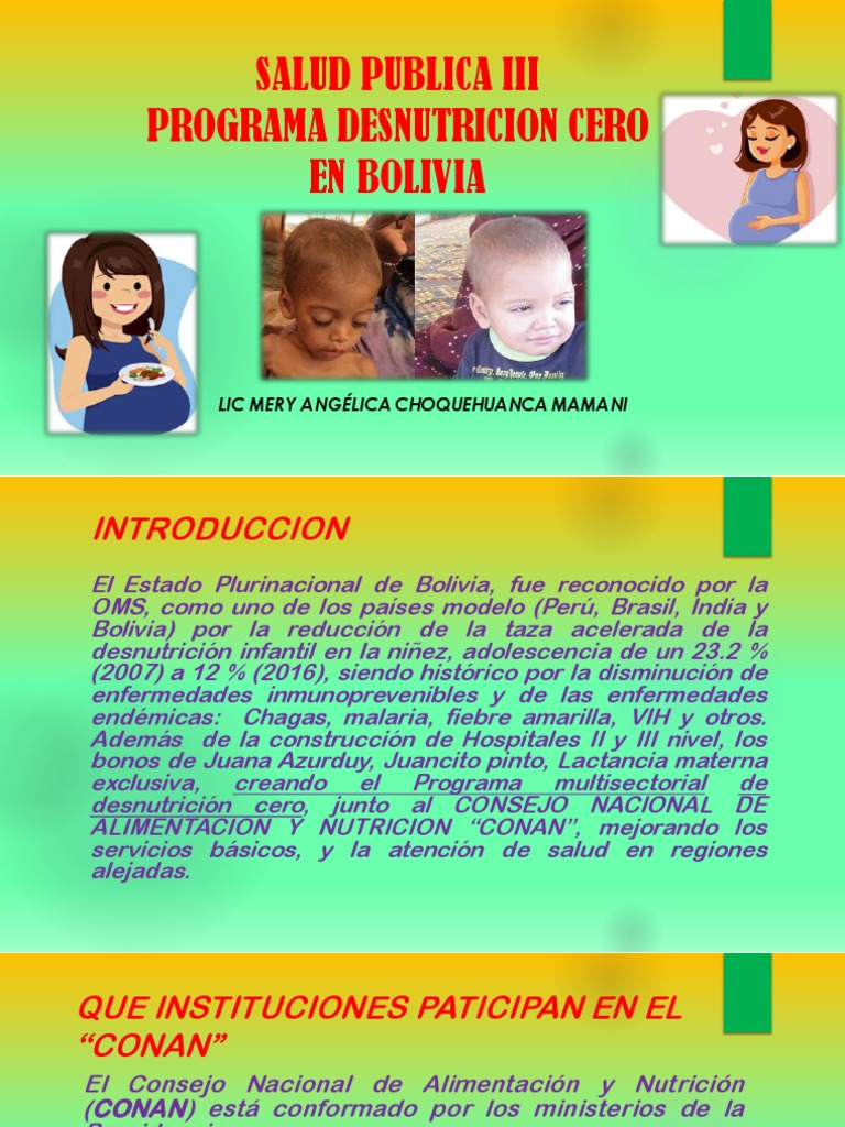 Desnutricion Cero En Bolivia Pdf Desnutrición Dieta Y Nutrición