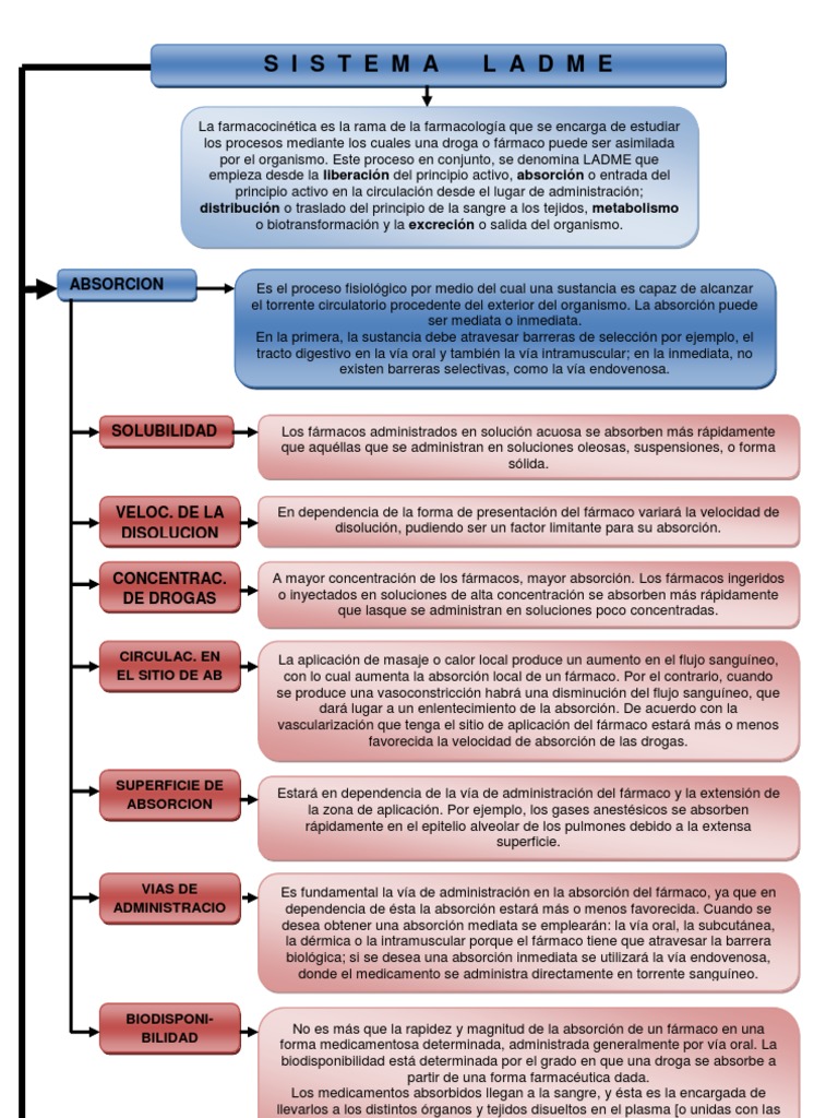 Proceso LADME en Farmacología | PDF | Farmacología | Biotransformación