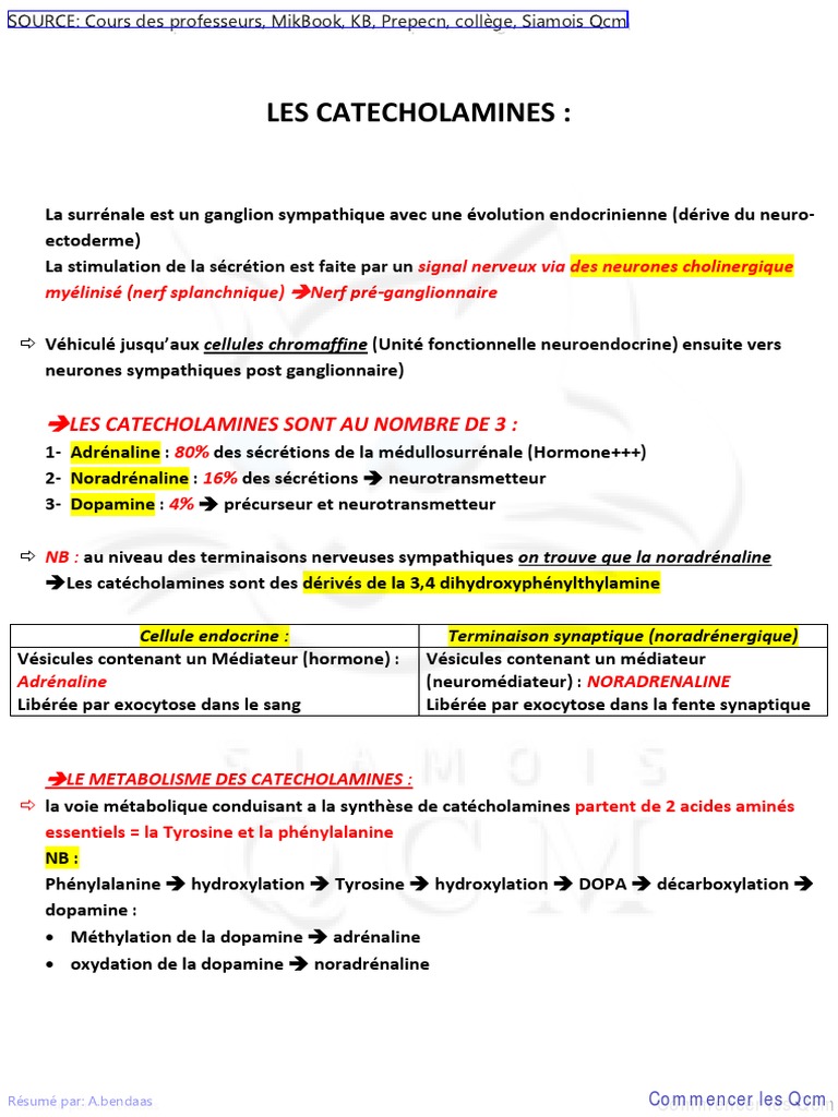 12-Les Catecholamines | PDF | Noradrénaline | Biochimie