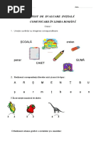 Steagul Romaniei PT Colorat | PDF