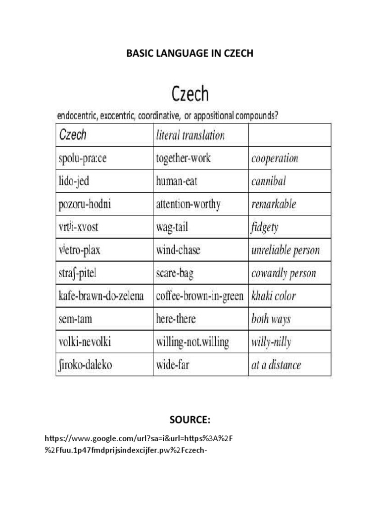 Basic Czech Language Guide | PDF