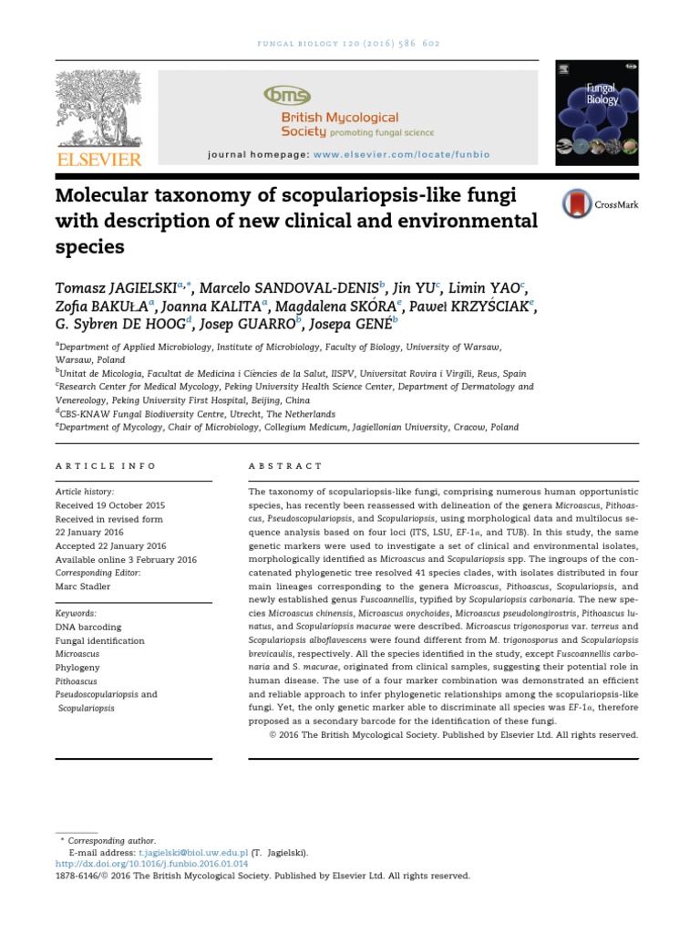 Taxonomy of Scopulariopsis Fungi | PDF | Species | Polymerase Chain ...