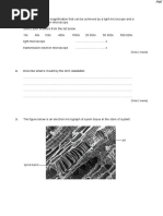 Calculation-Magnification-Qs Pack-Gcse | PDF | Micrograph | Cell (Biology)