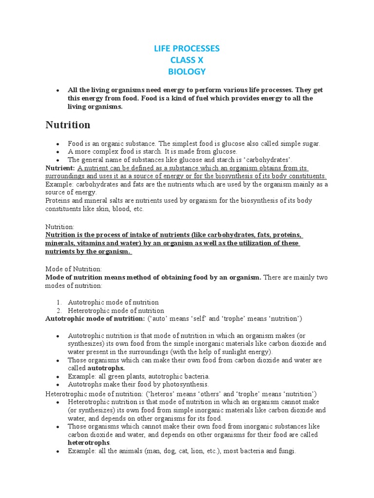 Notes On Life Processes | PDF | Digestion | Photosynthesis
