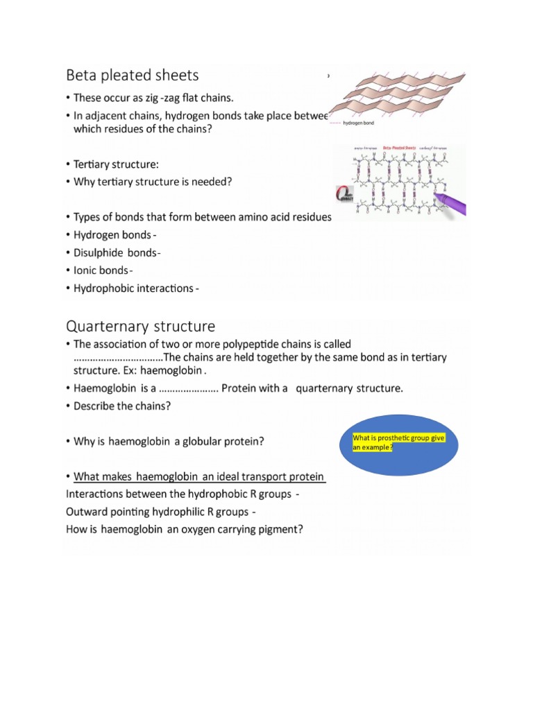 Protein Structure Worksheet | PDF