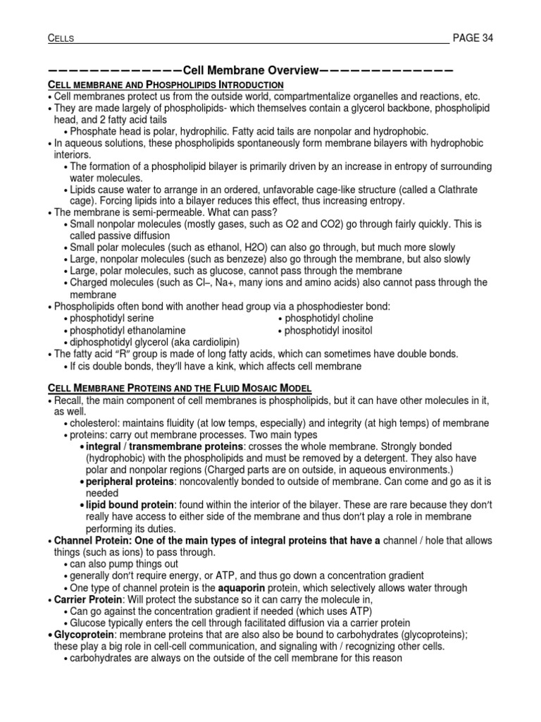 Khan Academy Notes - Cells | PDF | Endoplasmic Reticulum | Cell Membrane