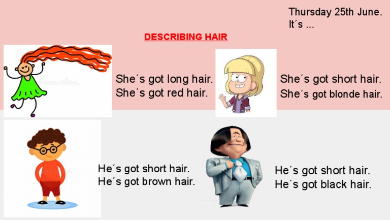 Describing Hair: Length and Color | PDF