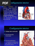 Esqueleto Fibroso del Corazón: Funciones y Estructura | PDF | Corazón ...