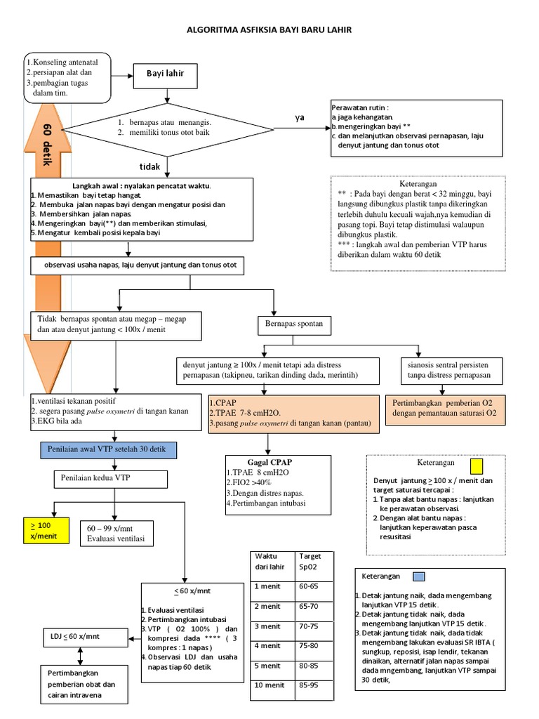Algoritma Resusitasi Bayi Baru Lahir 1 | PDF