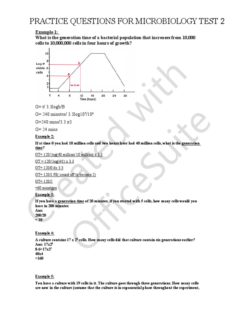 Bacterial Generation Time Calculations | PDF | Bacteria | Staphylococcus