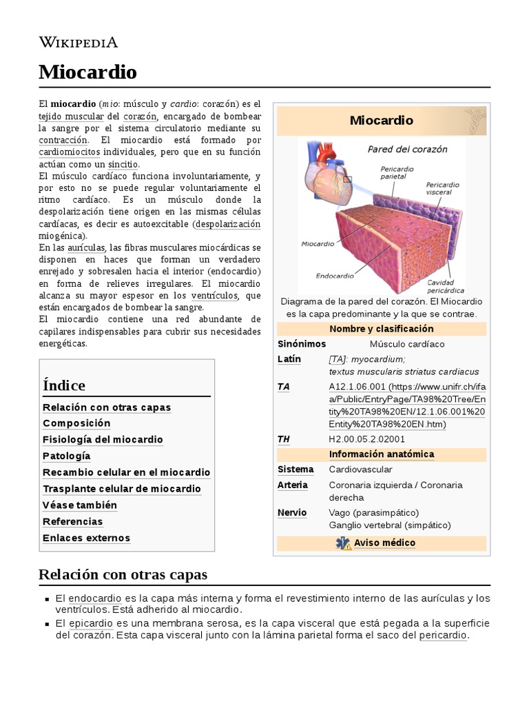 Miocardio | PDF | Músculo cardíaco | Corazón
